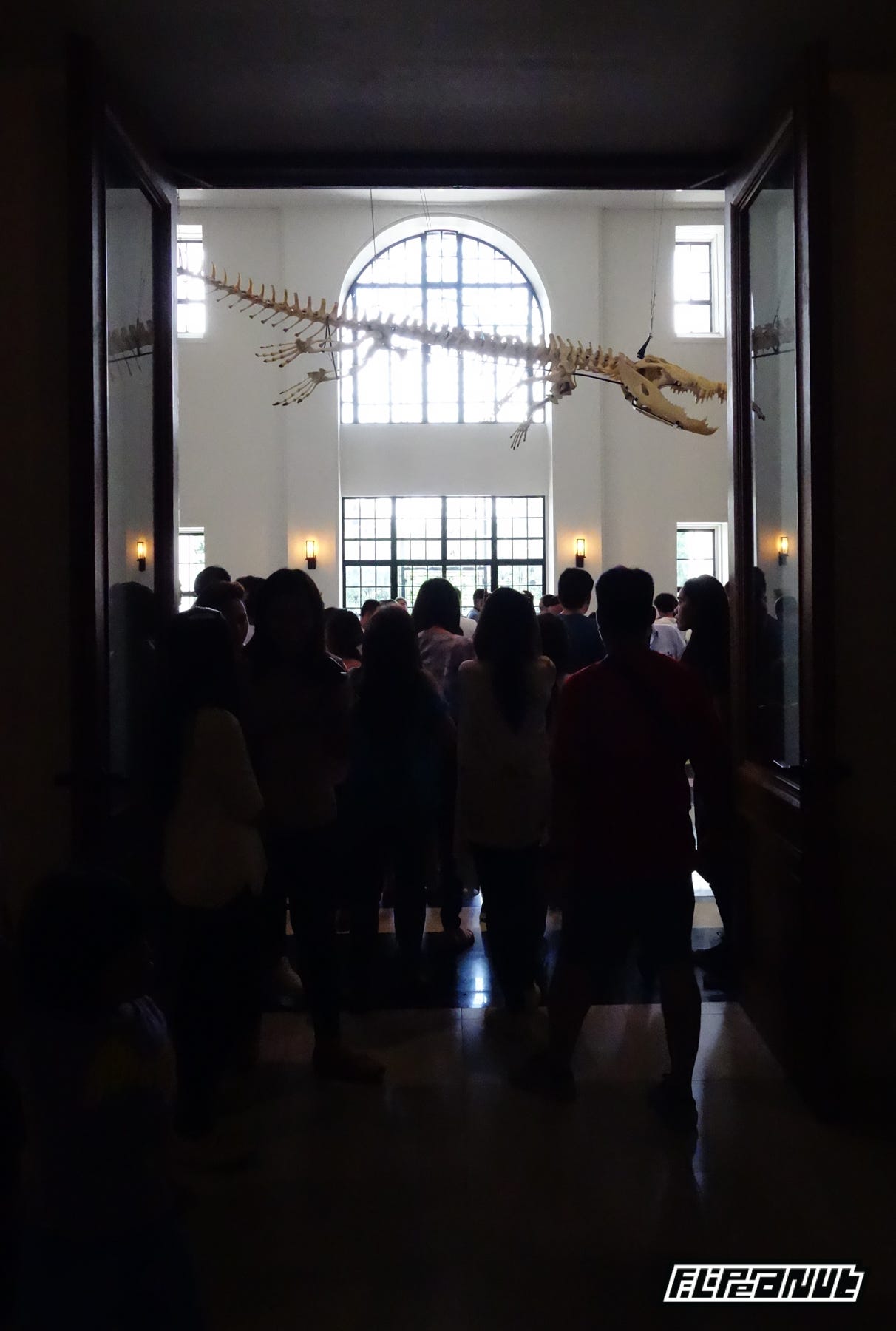 The new National Museum of Natural History | by Filipeanut | Medium