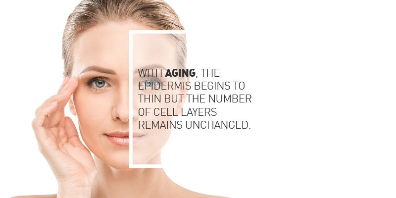 How The Skin Changes With Age. Skincare Tips from MDSUN Skin Care® | by ...