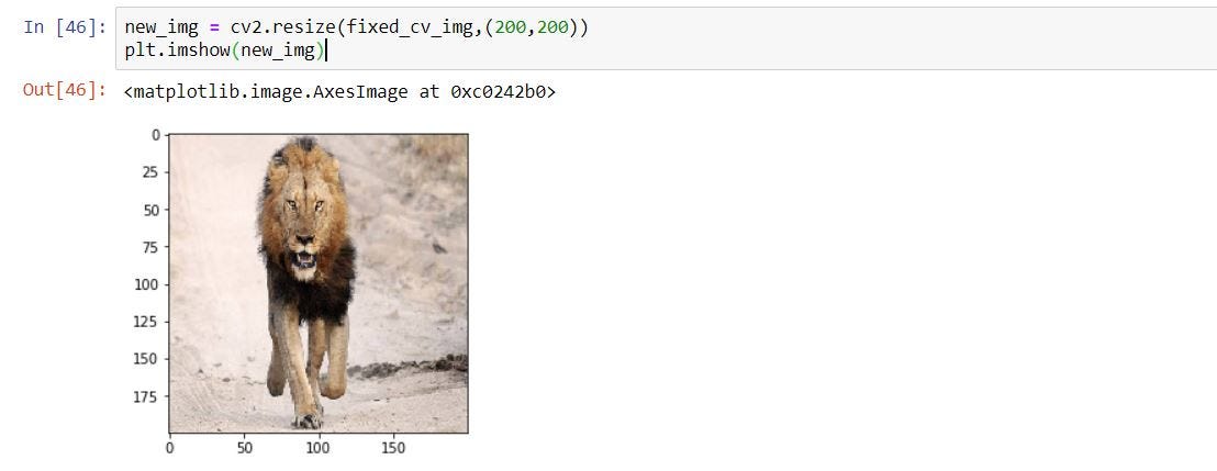 How to get started with OpenCV for Image Processing. | by Mithilesh Pradhan | Analytics Vidhya ...