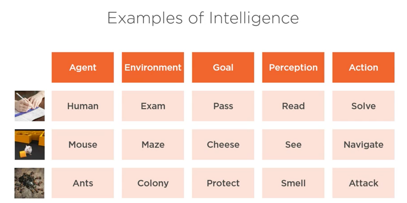 Avijit Nagare – Medium