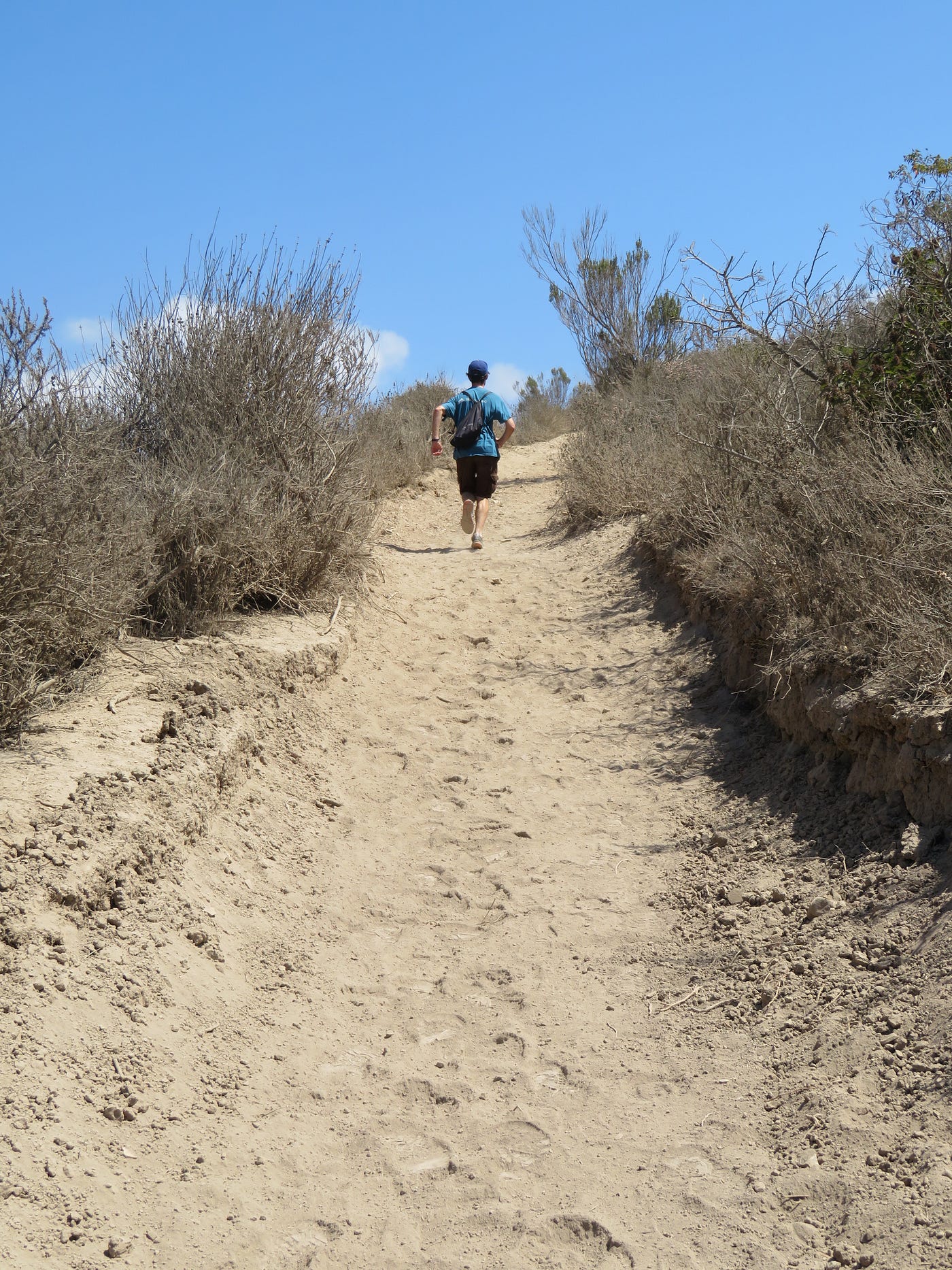 A Day Exploring Malibu. Hi, I’m Carl Finer. I’m an educator… | by ...