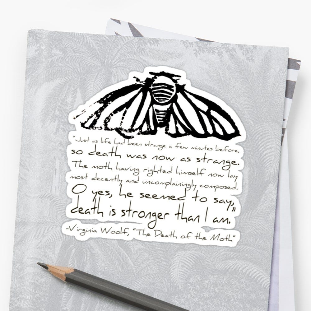 Virginia Woolf’s The Death of the Moth : A Short Analysis | by ...