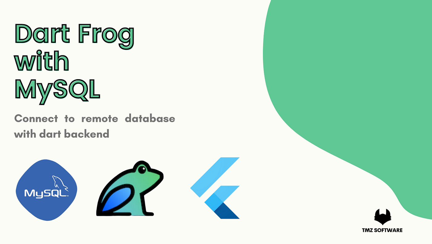 Database connection for Dart Frog | by Tmz Software | Aug, 2022 | Medium
