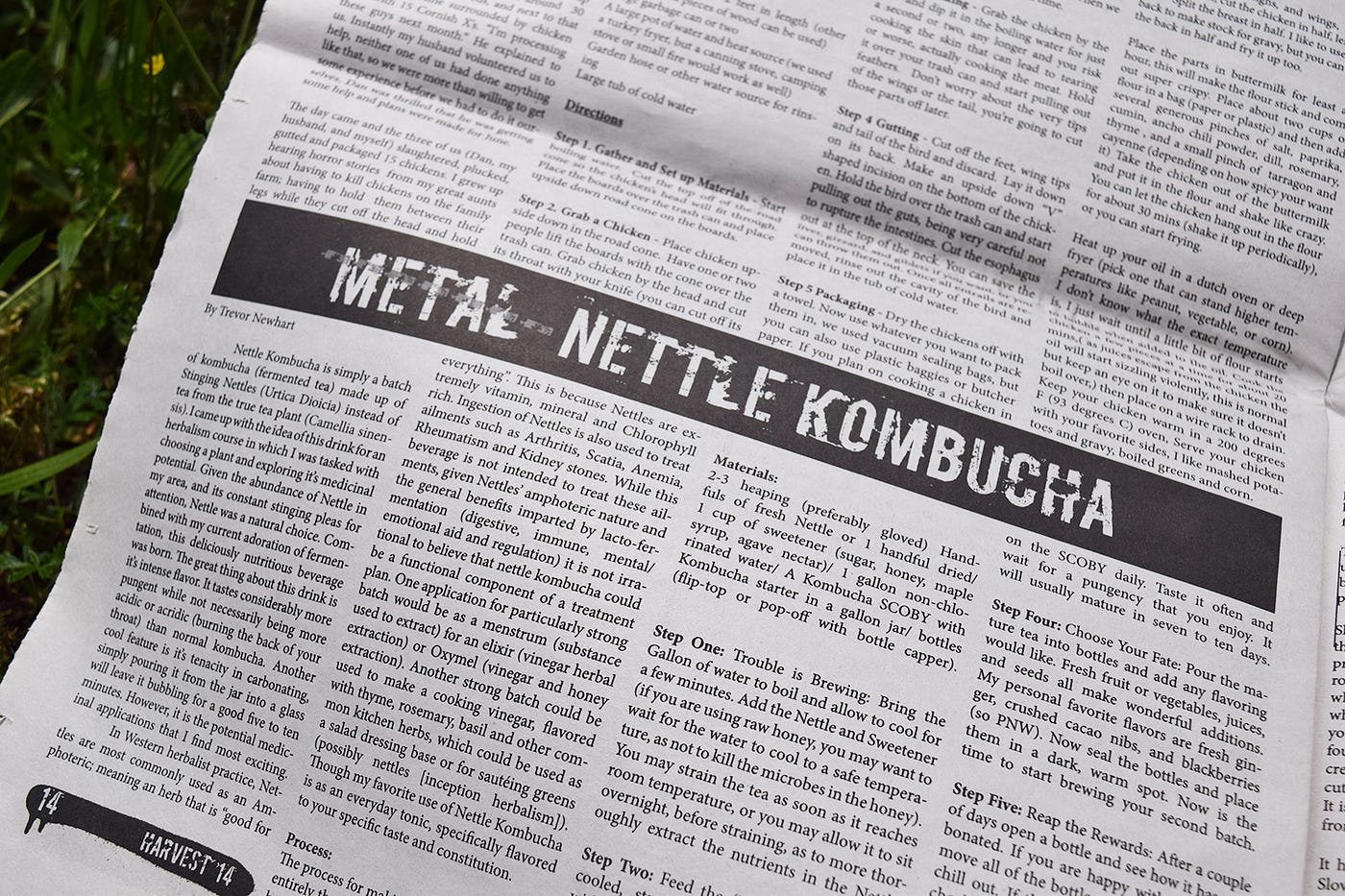The green zine roundup: A few must-read eco zines | by Meg Crane ...