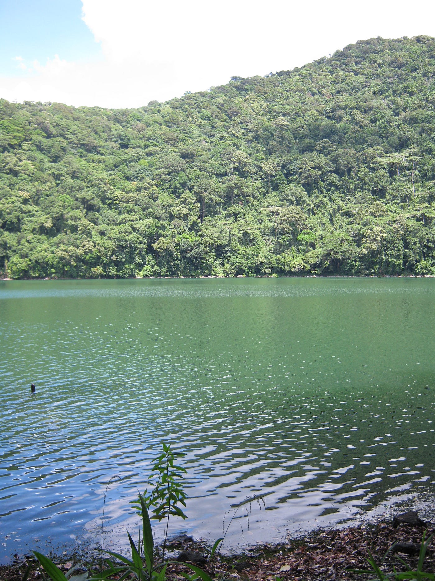 The Bulusan Volcano Natural Park in Bicol | by steve wardrip | Pinetop ...