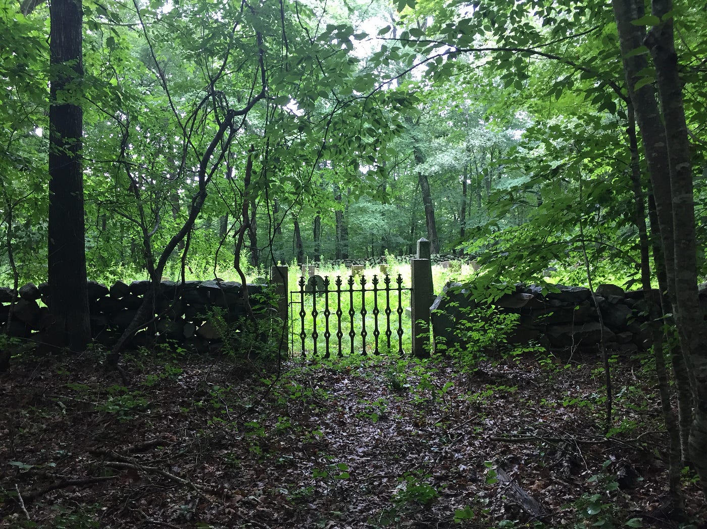 Gated Community. Where Past and Present Lives Collide | by Emily ...