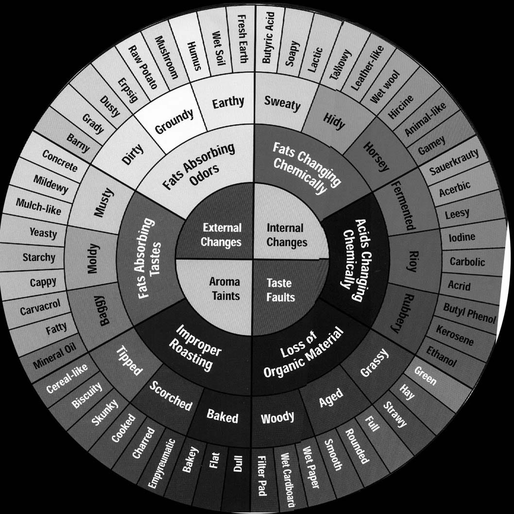 memo : Aroma Wheel. I know “aroma wheel” reading from the… | by Hiroshi ...