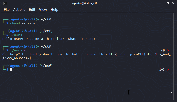 PICO CTF Wave a Flag [GENERAL SKILL] - MR SHAN - Medium
