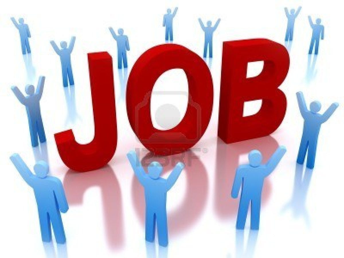 Fresher Looking For Jobs As Per Skills Find @the_incircle | by ...