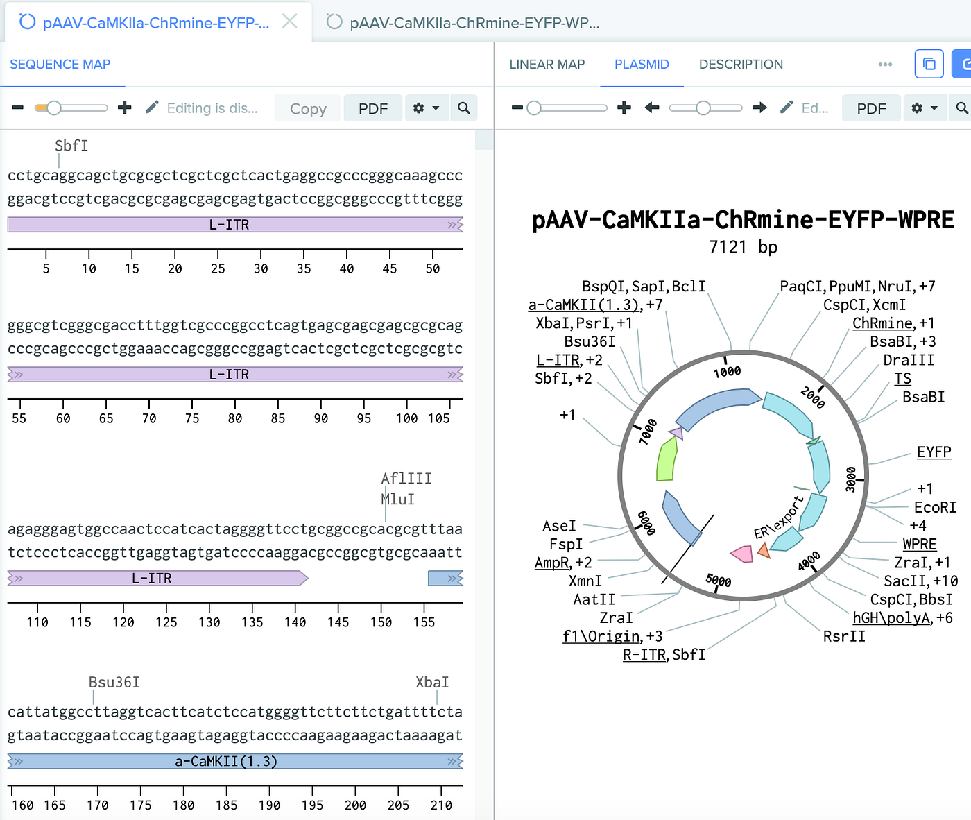 ChRmine Kinases, Computational Biology, and Everything in Between | by Raina Bornstein | Geek ...