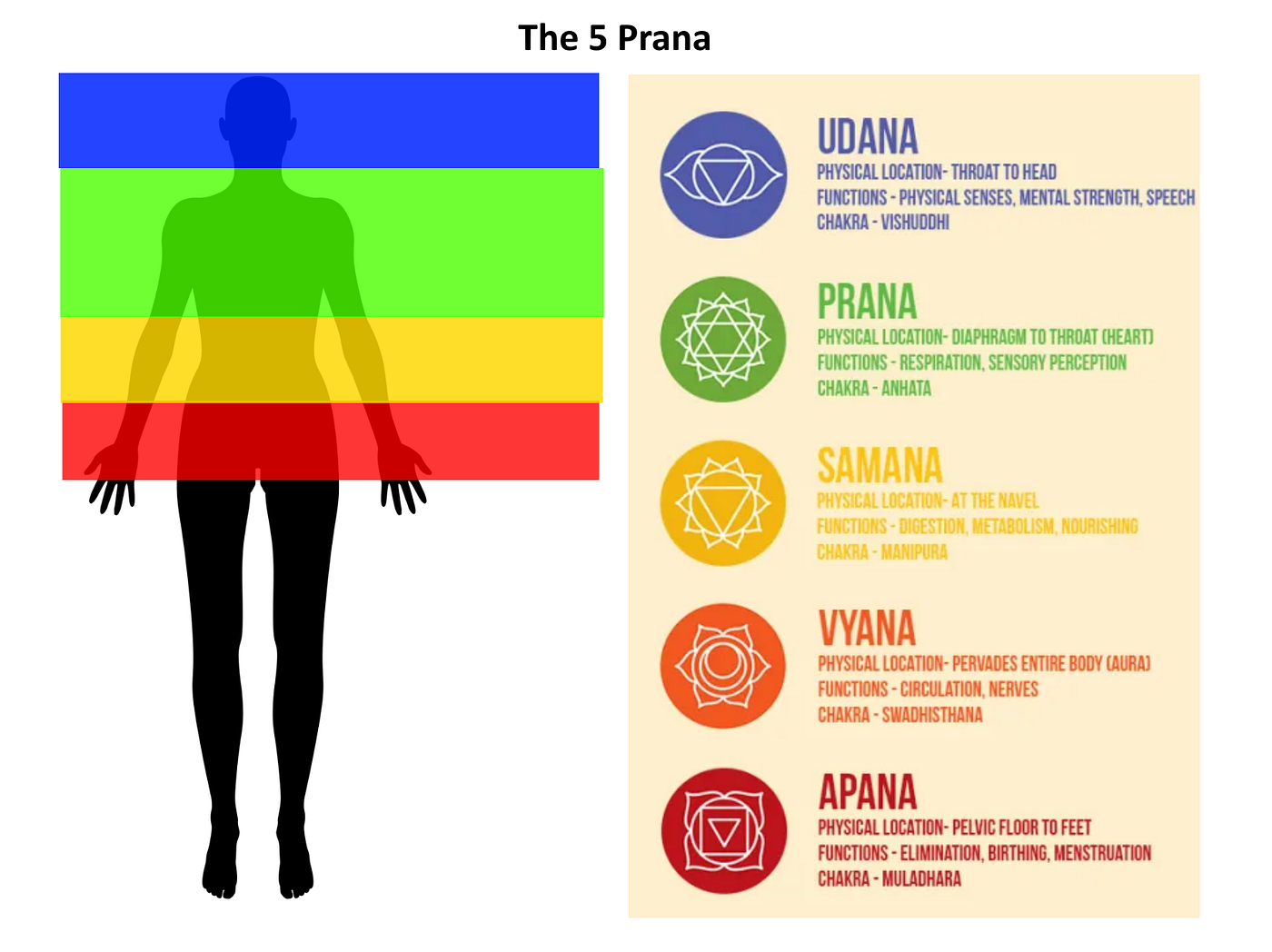 “Prana” or Life Energy Knows Precisely When to Enter and Exit the Body ...