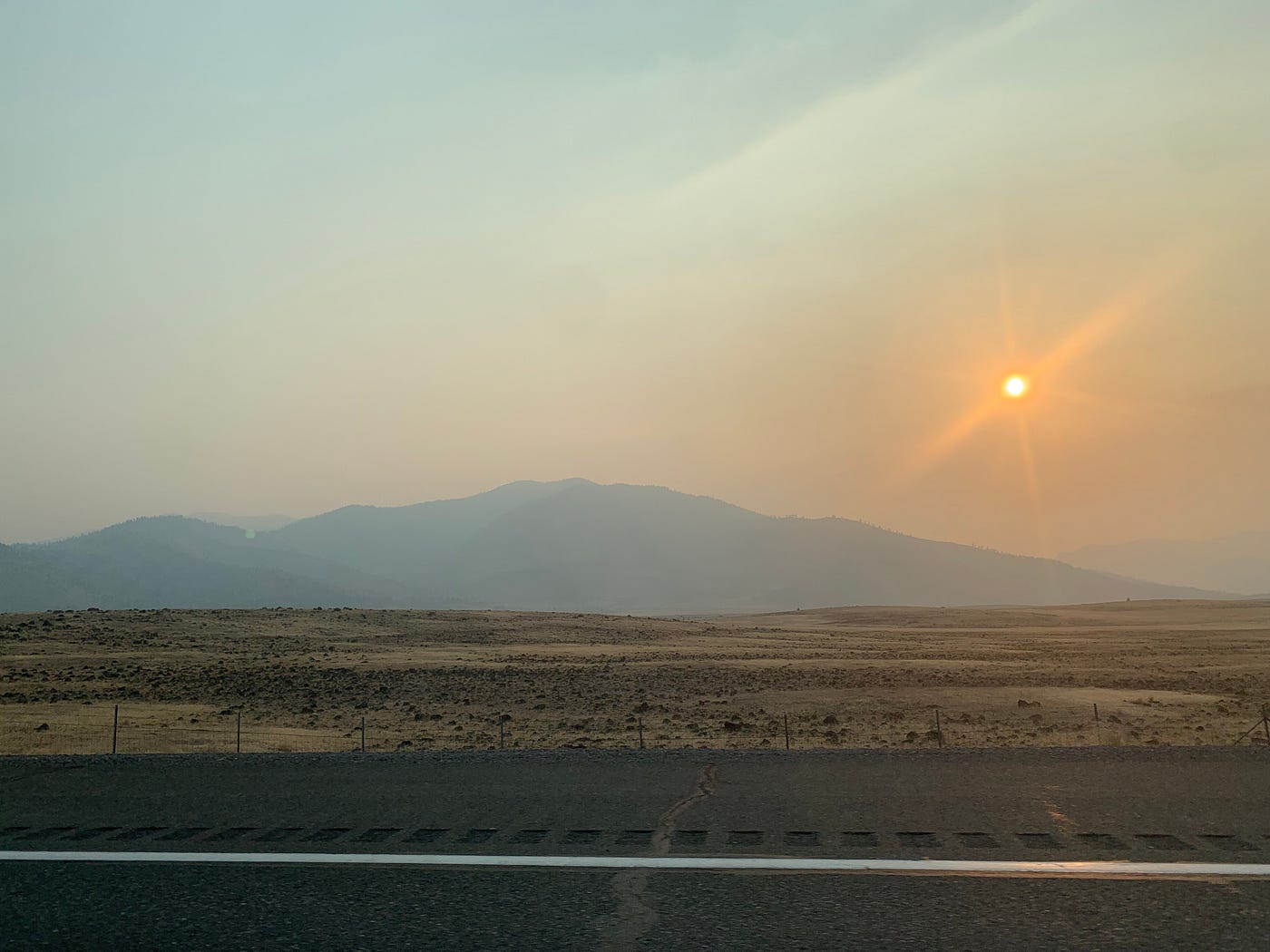 California in Limbo: Newsom's victory is nobody else's | Medium