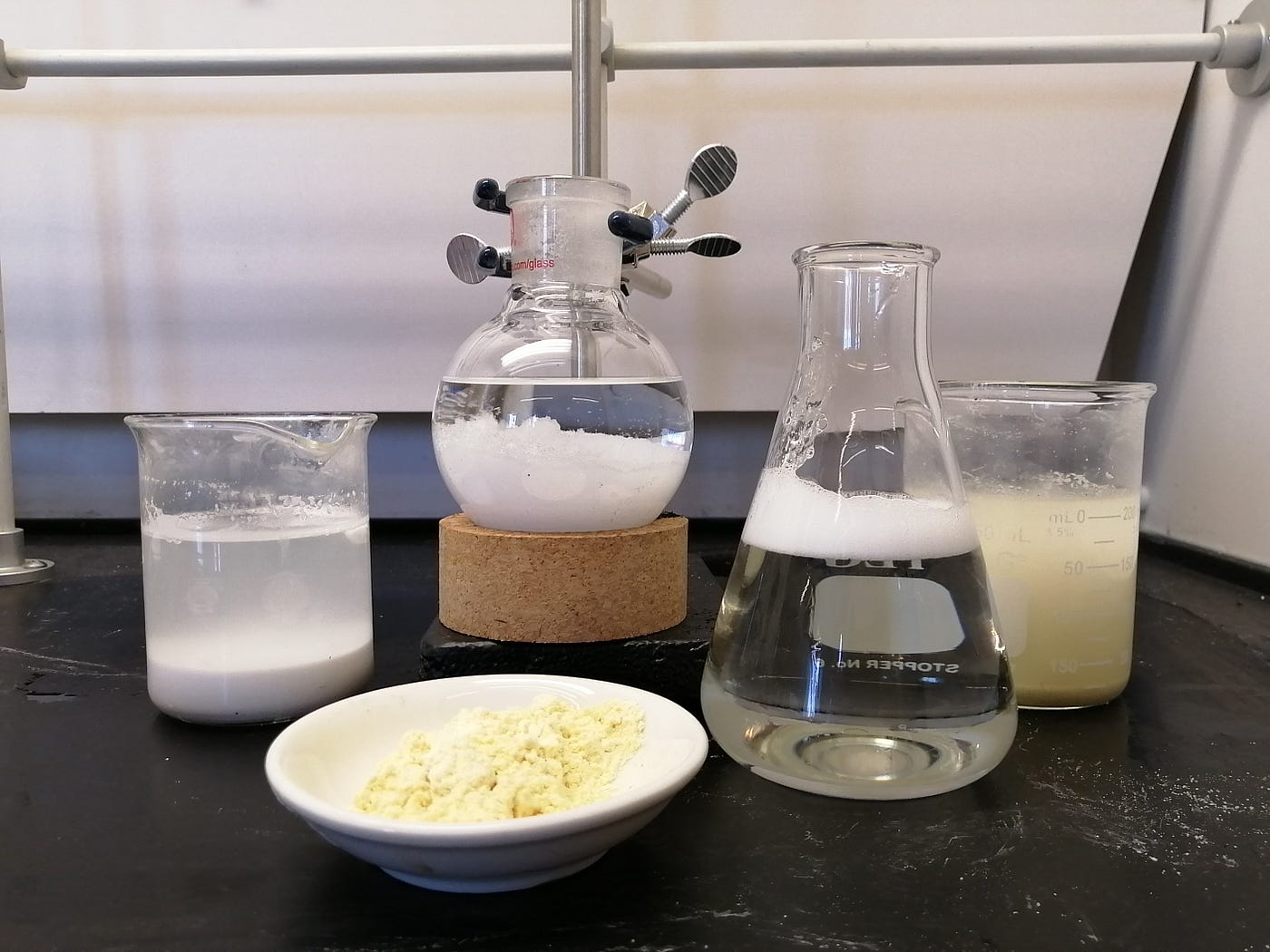 Train Mask R-CNN Net for Object Detection in 60 Lines of Code | by Sagi eppel | Towards Data Science