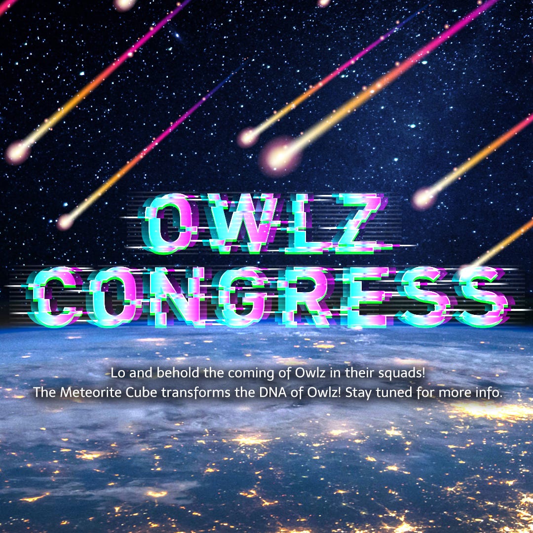 TheOwlzCongress – Medium