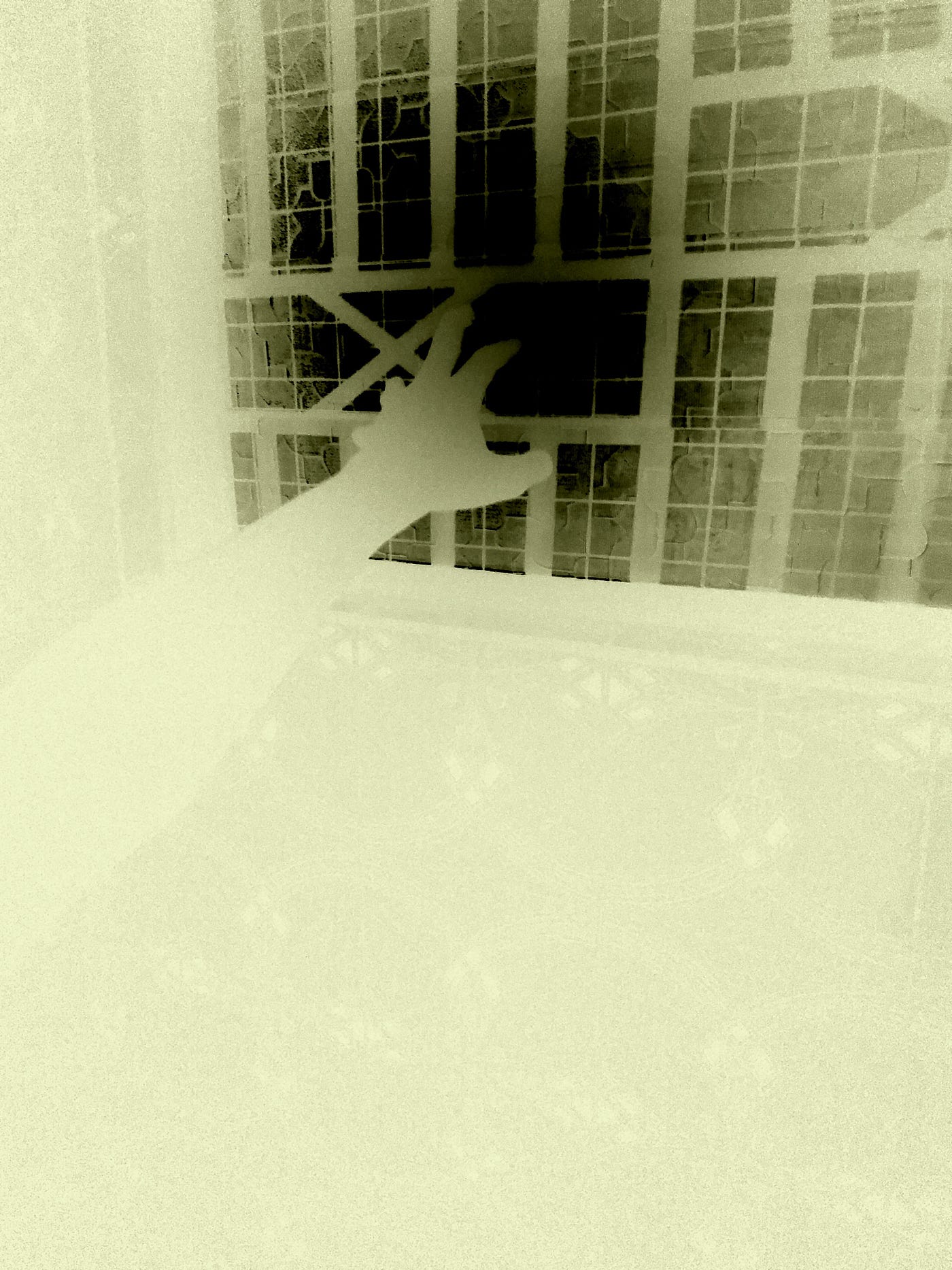 THE COLD EMPTY VOID - Chris - Medium