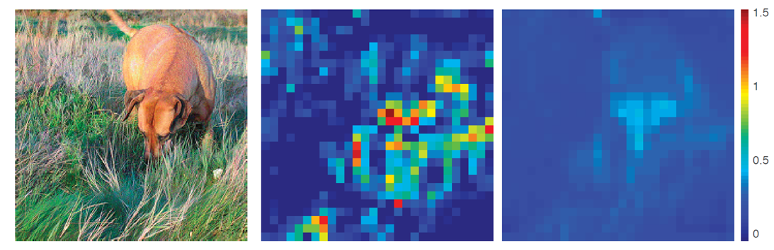 Adversarial examples and feature denoising | by Zhixiong Yue | Medium