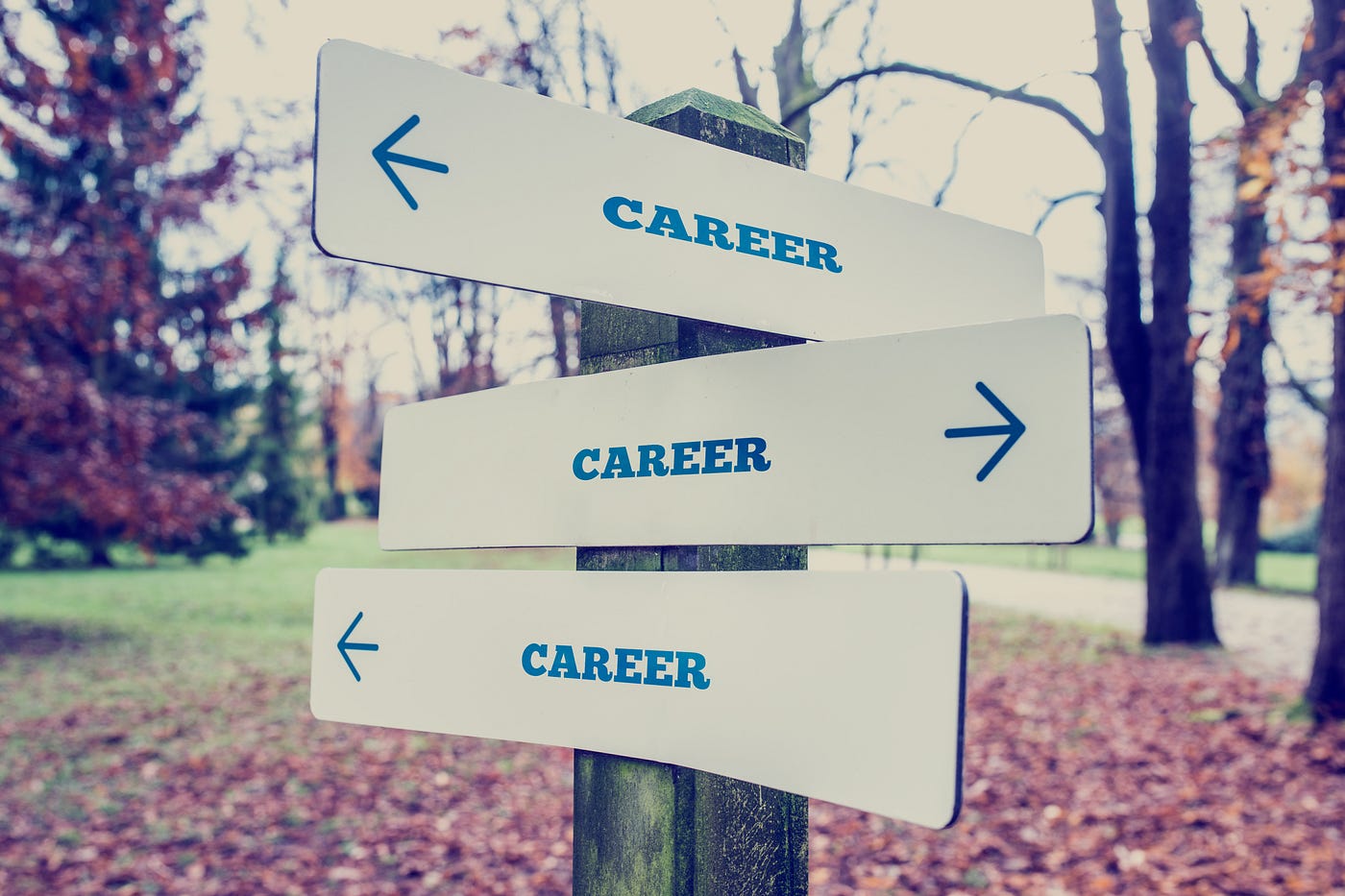 To quit or not to quit… and how to do it | by Davide Cervellin | Medium