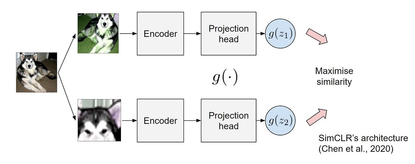 Improving Transformation Invariance in Contrastive Representation ...