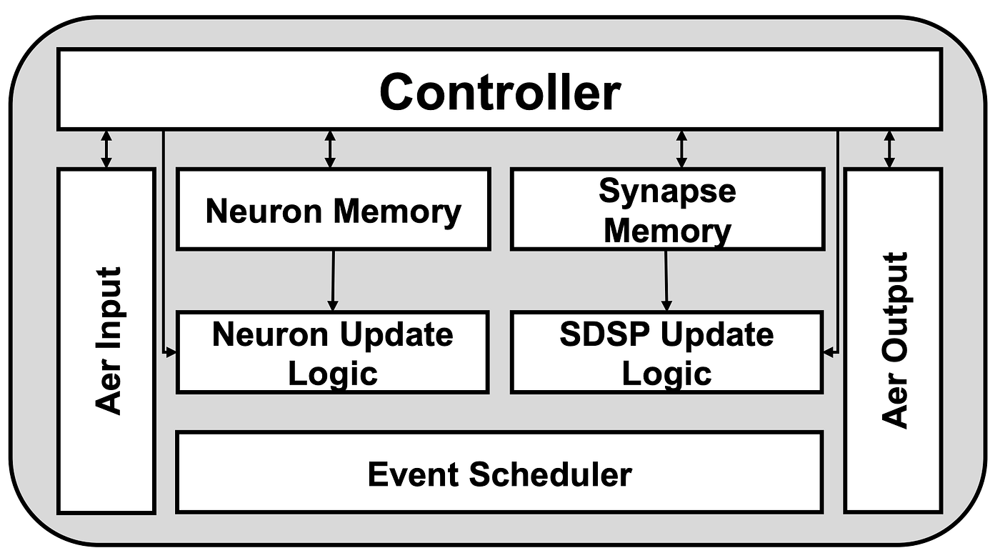 Introduction to the Algorithms and Hardware of Spiking Neural Networks | by Dickson Wu | Geek ...