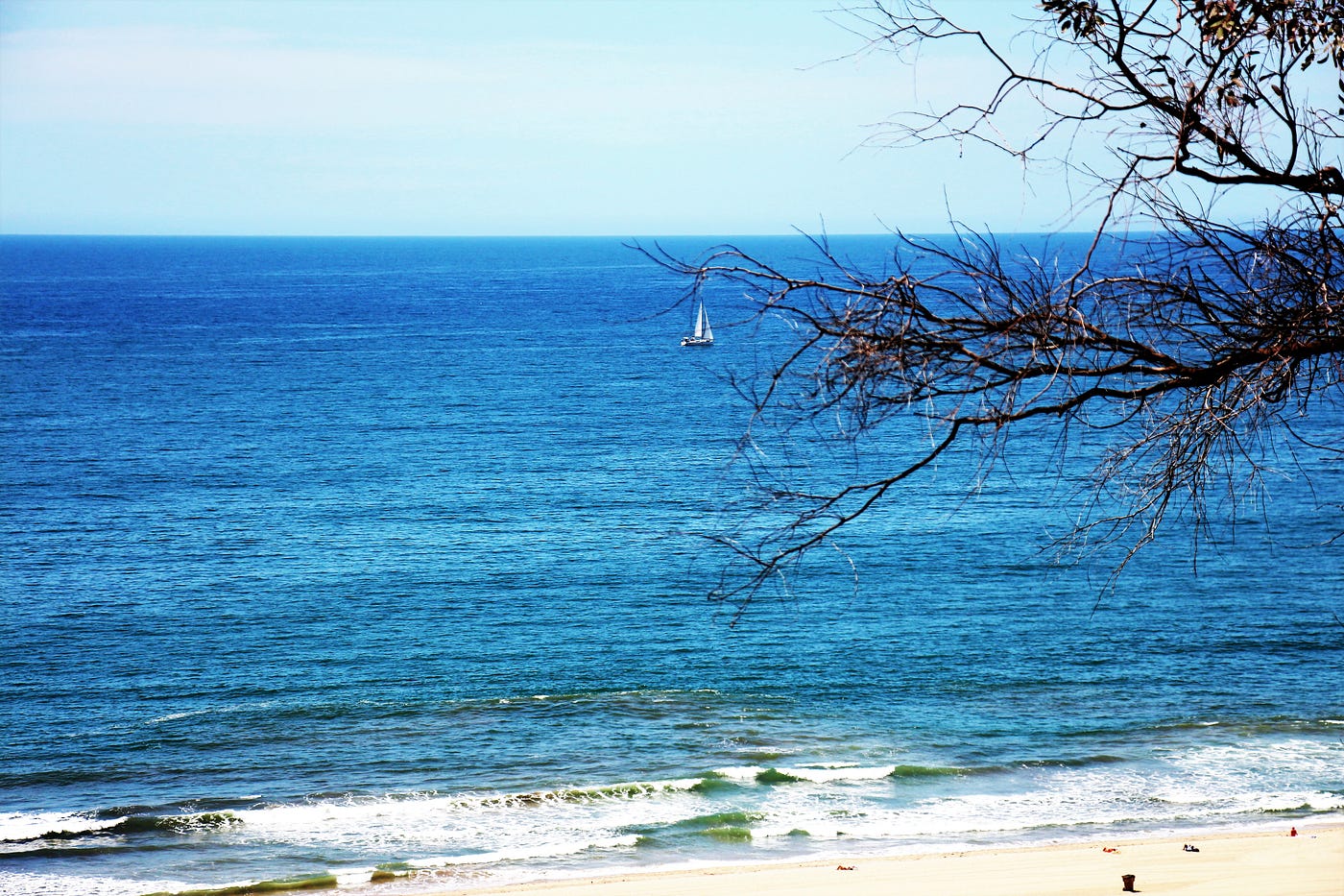 goodbye photos.. It started with decluttering and… | by june saruwatari ...