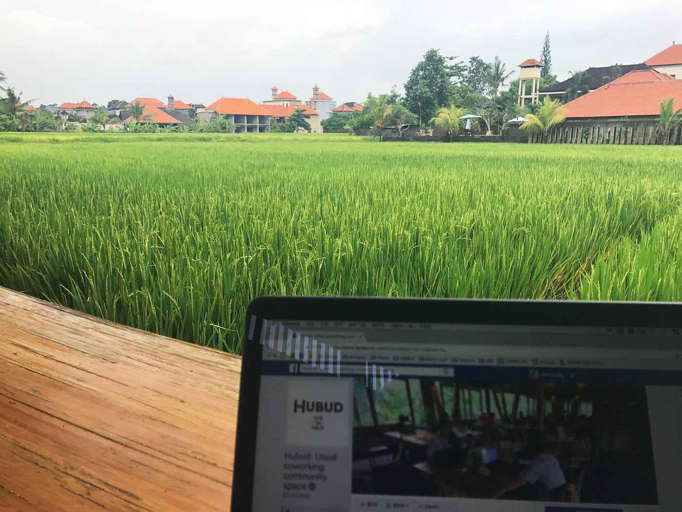 ‘Hubud’ in Ubud: A Hub of Digital Nomads | by Jina Seong | Medium