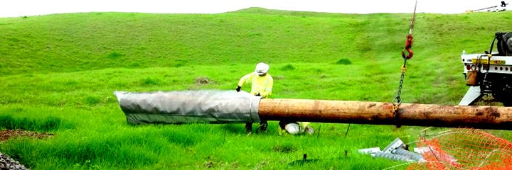 Polesocks — Protecting Wood Utility Poles Without Using Pesticides ...