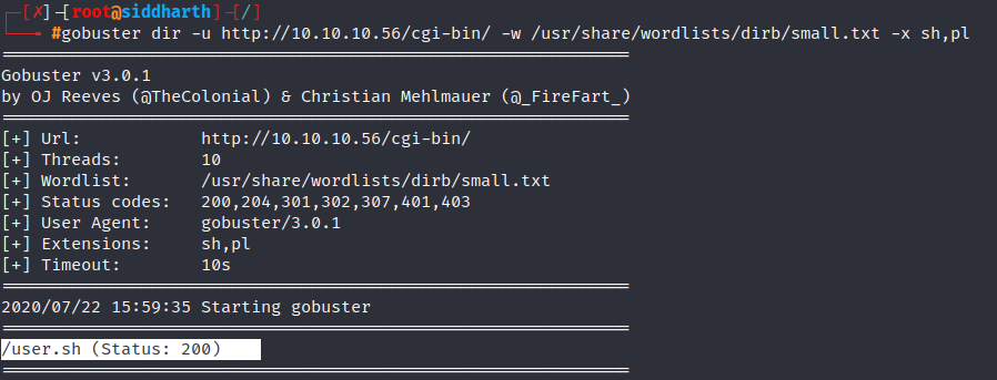 HackTheBox Walkthrough w/o Metasploit Shocker #12 | by Siddharth Singhal | Medium