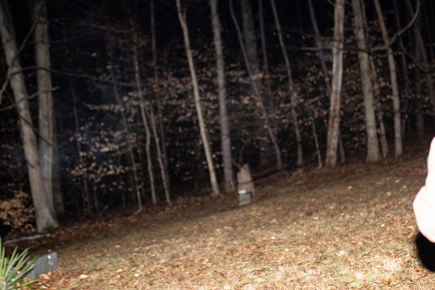 Take a stroll through the most Haunted Cemetery in Indiana | by Ashley ...