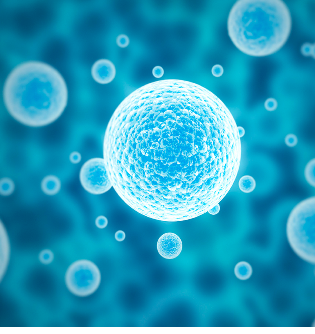 Decoding the Body-Field. When I was in my twenties, I spent… | by Harry ...