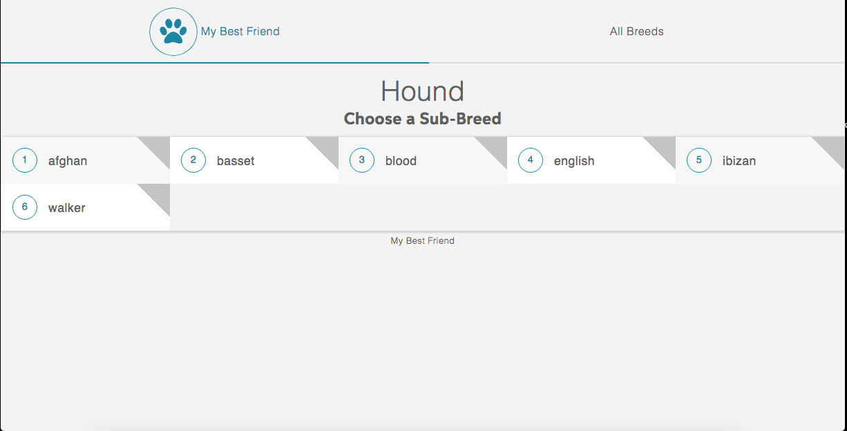 My Best Friend — Building an App using a Design System and Dog API | by ...