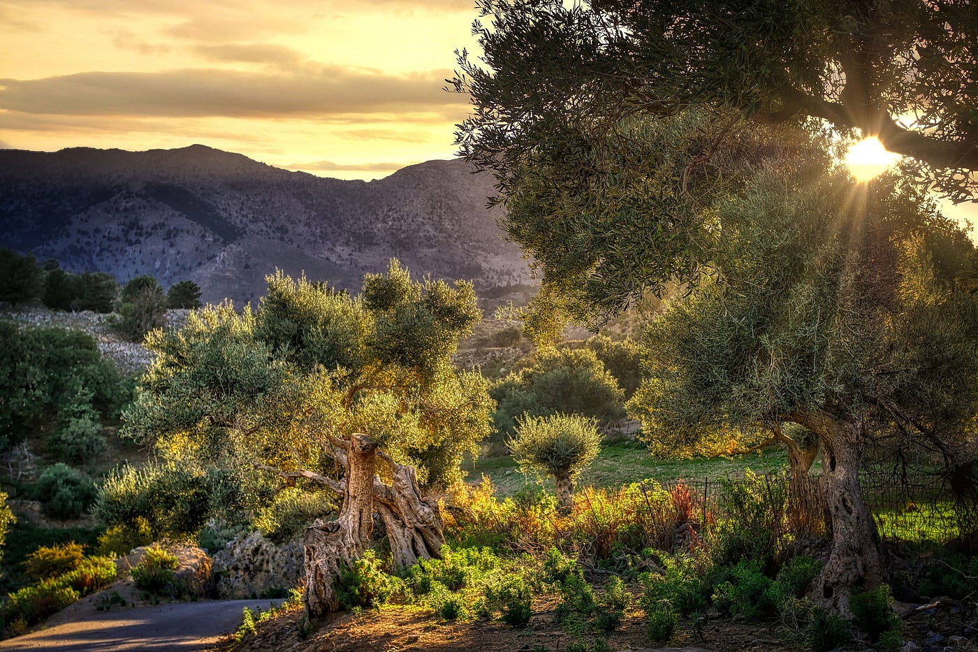 Crete; The Island Full of Surprises | Digital Global Traveler