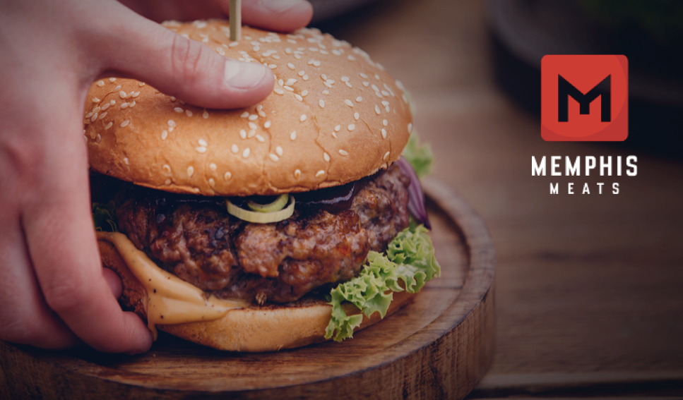 Real Meat, Without Growing a Full Animal | by Uma Valeti, MD | Near ...