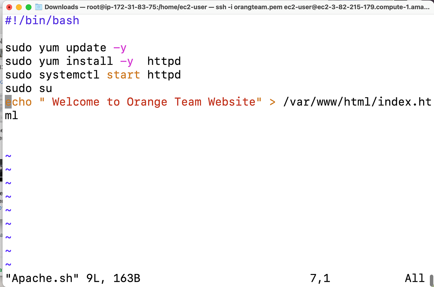 Using EC2 to host a website in AWS and Deliver Web content via BASH script. | by Bosun Olisa ...