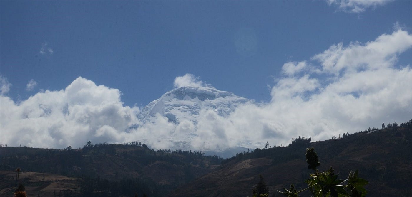 The Sacred Cactus of the Andes — “San Pedro” / “Huachuma” | by Scott ...
