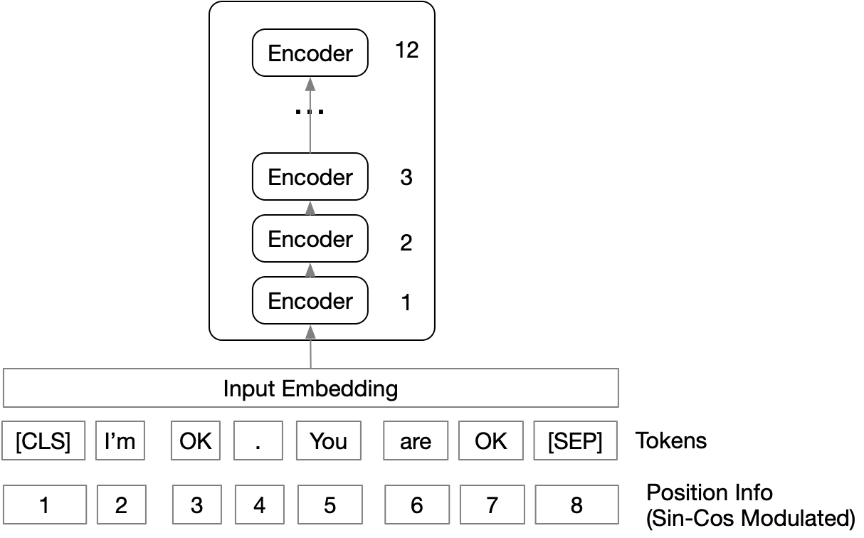 A BERT Flavor to Sample and Savor | by Auro Tripathy | MLearning.ai ...