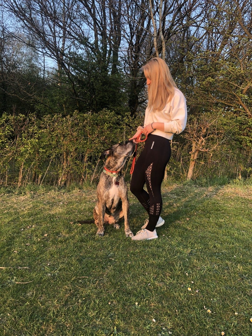 What It’s Really Like Being a Single Dog Mum | by Alice González | Oct ...