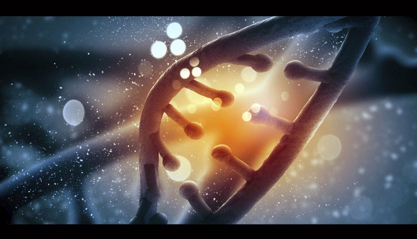 SCIENTISTS HAVE FOUND THAT MEMORIES MAY BE PASSED DOWN THROUGH ...