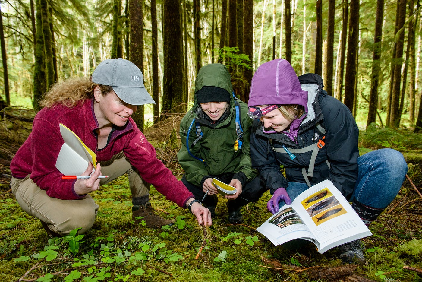 Is Passive Learning Unethical? The Science of Teaching Science | by It ...