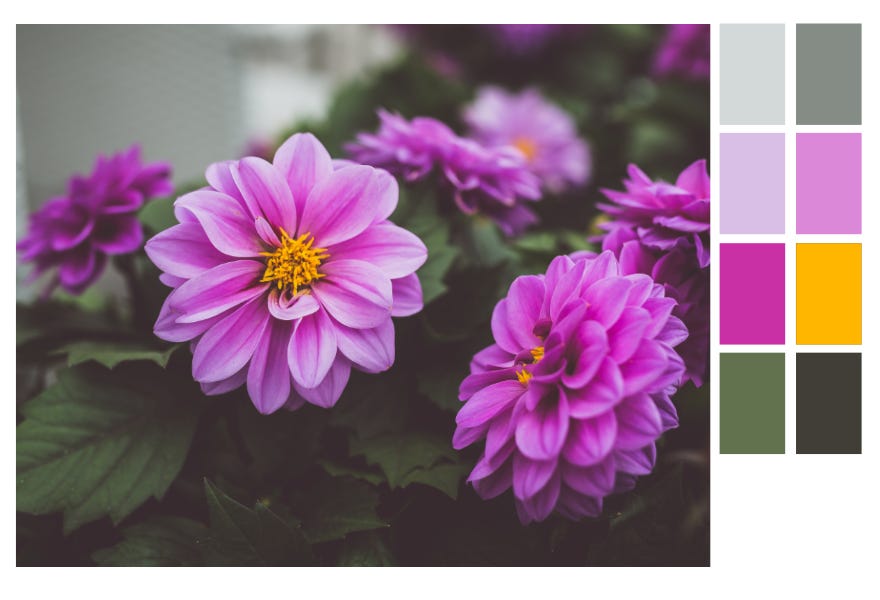 Vintage pink colour palette. This week's colour palette is similar ...