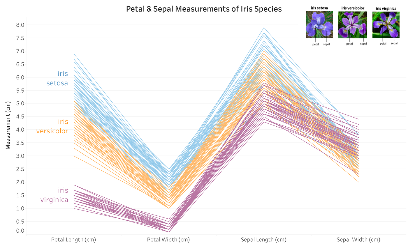 Day 39: Iris Data & Parallel Coordinate Plots | by Paige Smyth | Mar ...