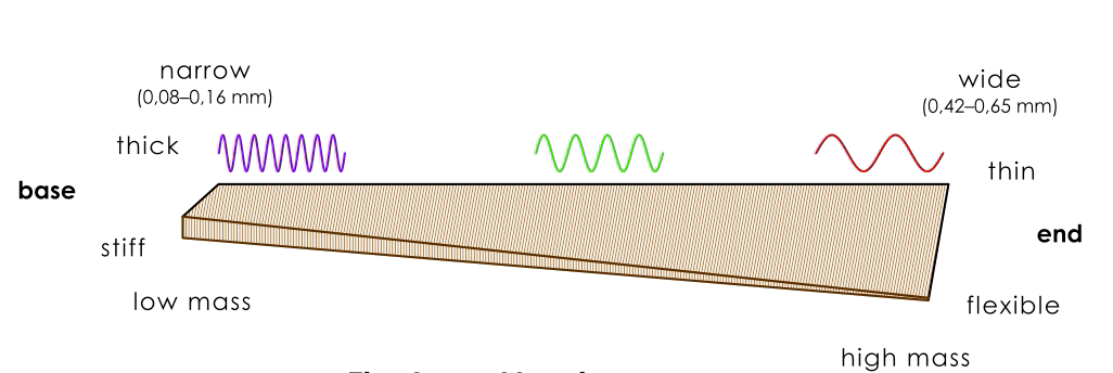 Understanding musical tuning systems | by richard bultitude | Sep, 2021 ...