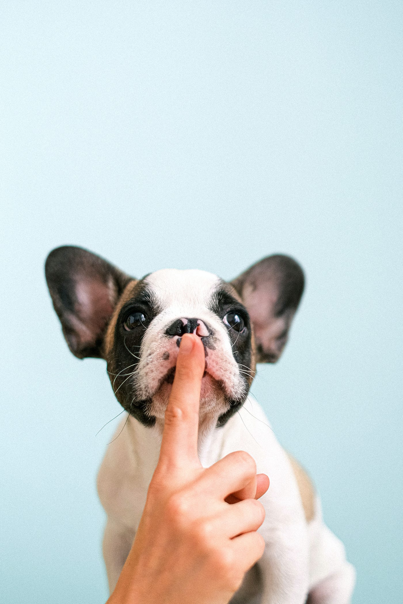 The Power Of Silence. Arguing with someone you love. | by Paul Neathery ...