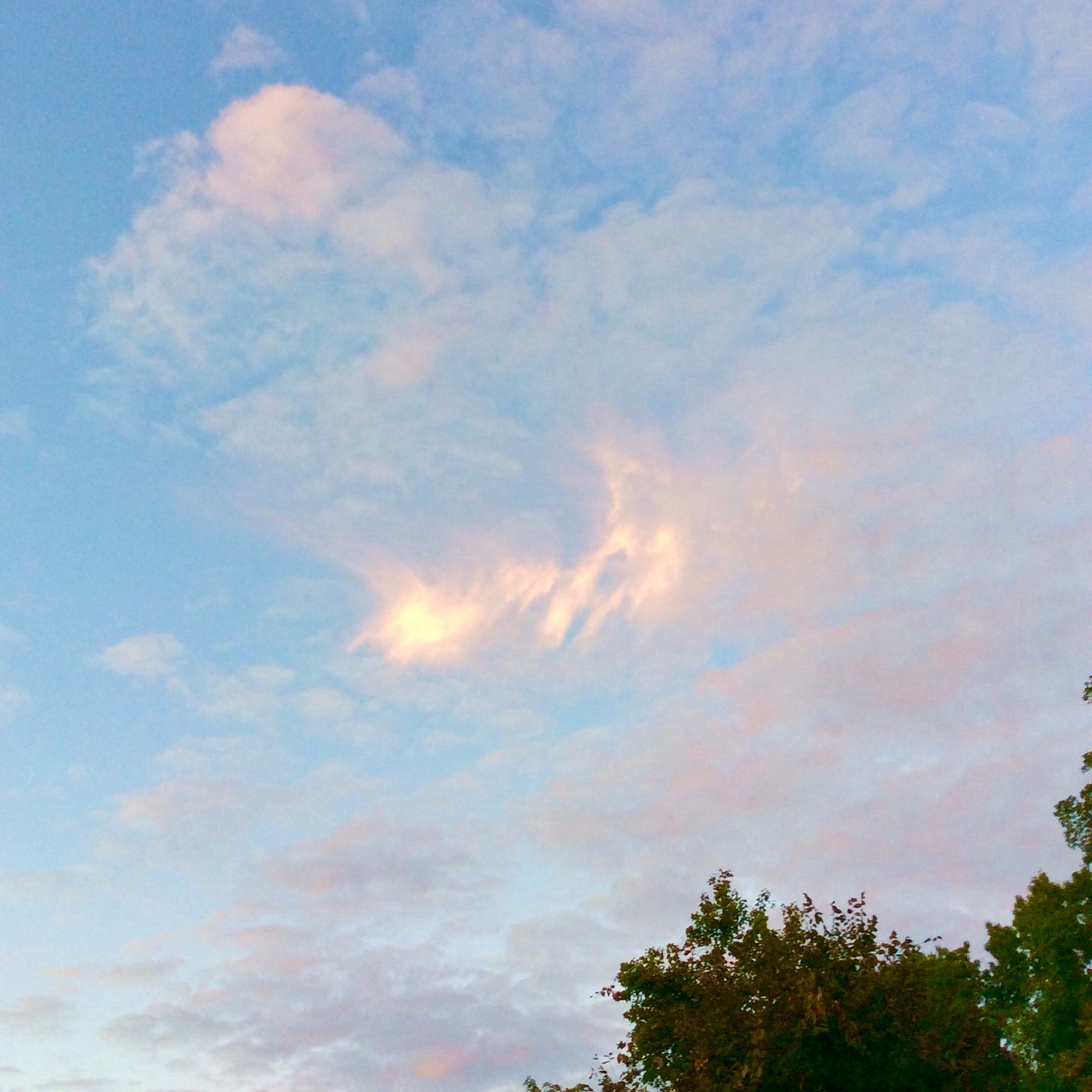 On This Cool Autumn Day - The Lark - Medium
