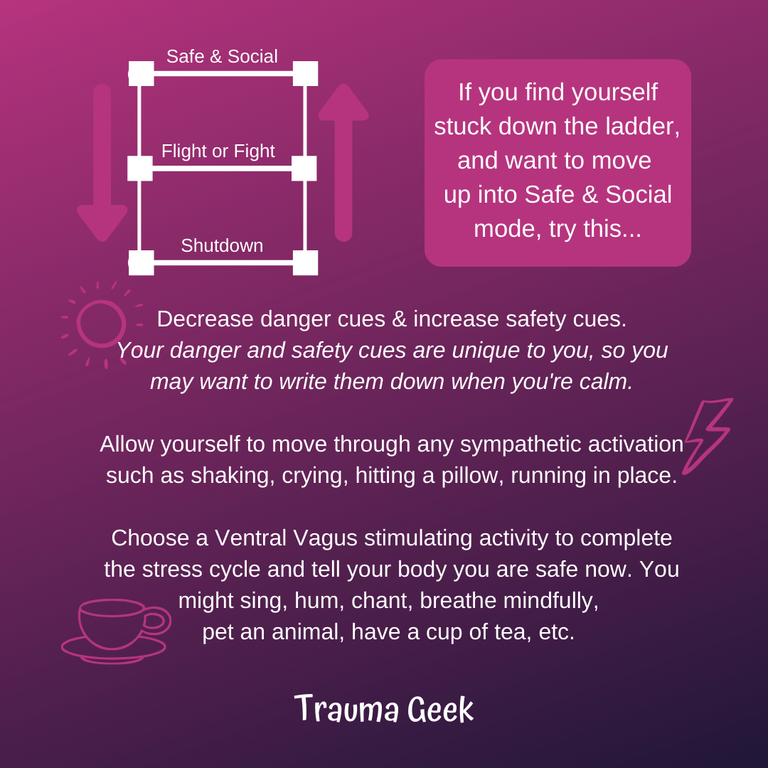 How to Use the Polyvagal Ladder. A set of graphics by Janae Elisabeth ...