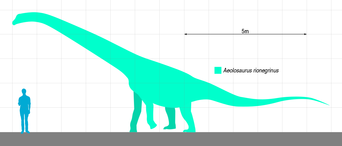 Exciting Paleontological Discoveries You Probably Missed in May | by ...