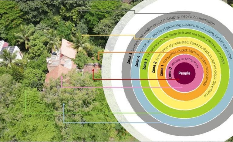 Celebrating the Gifts of Ecovillage Design Education (EDE) and Culture ...