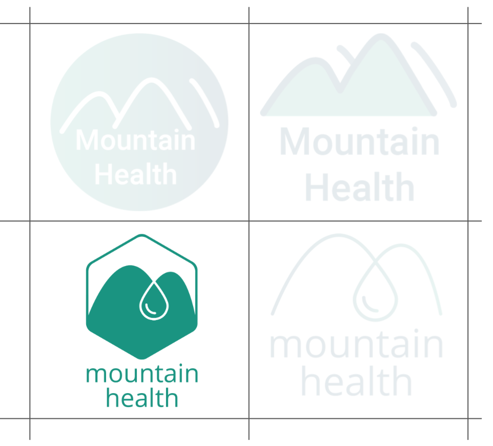 Mountain Health Case Study. Responsive Website for Naturopathic… | by ...