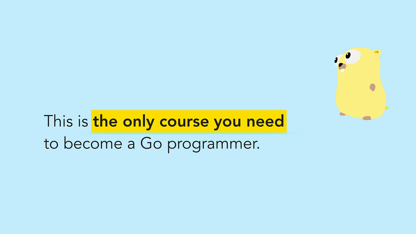 Go Bootcamp: Online Go Course. Master Go and Build Real-World Go… | by Inanc Gumus | Learn Go ...