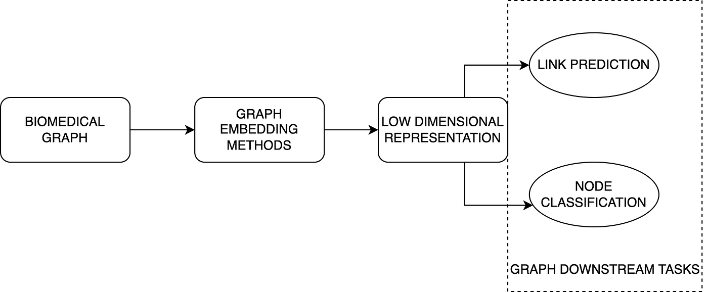 Let’s Talk about Graph Machine Learning in Biomedical Networks | by ...