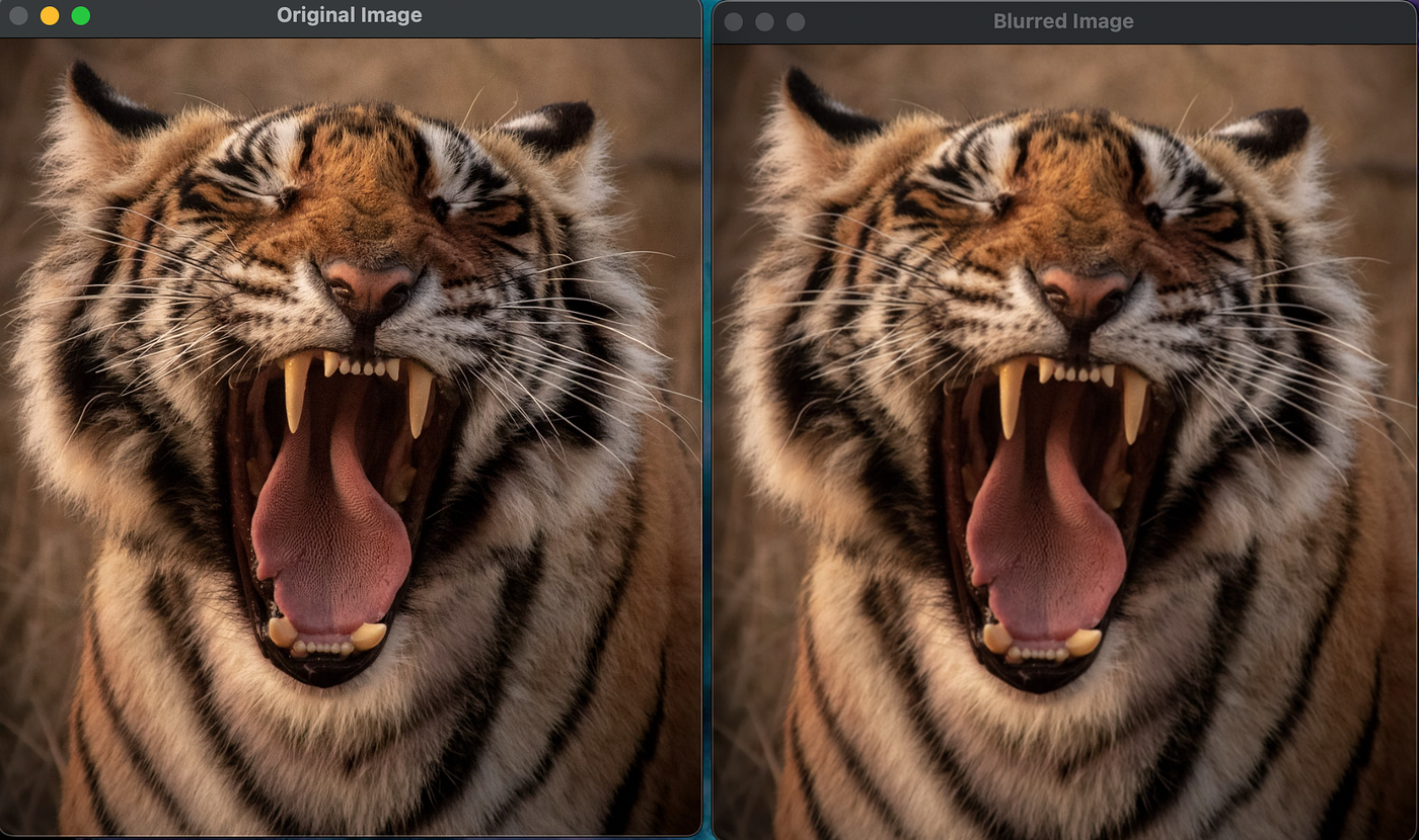 Open CV :- Basic Image Processing Functions and Detection | by Neel ...